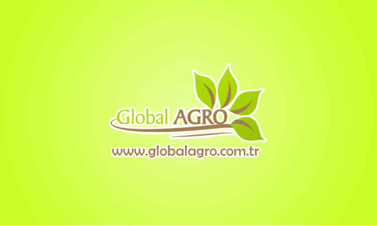 Global Agro | Kuruyemiş - Bakliyat- Ziraii Ürünler | Gaziantep